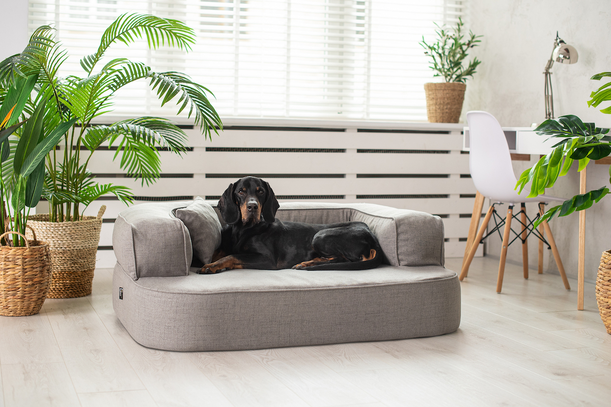 Ortopedický pelíšek pro psa EDEN šedý - HelloDog psí e-shop